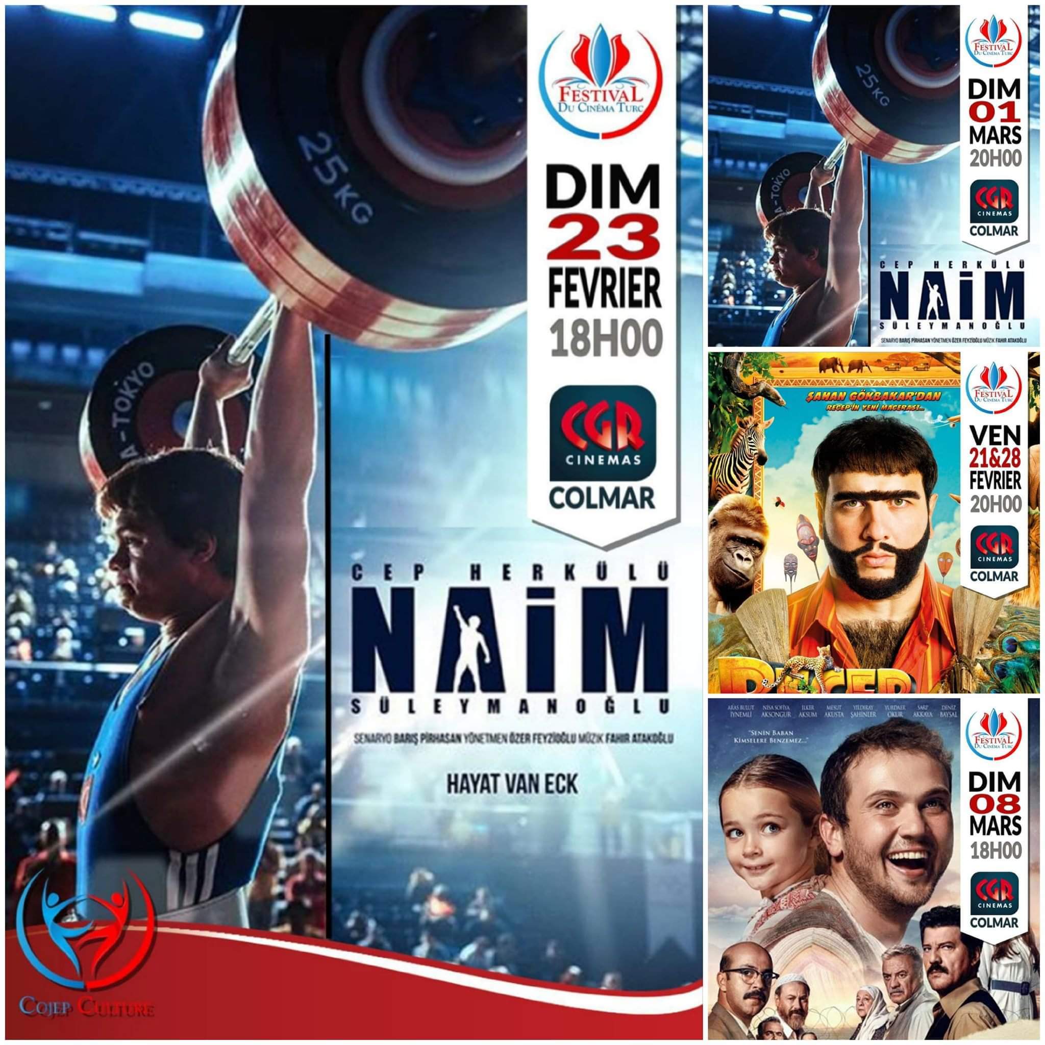 Festival du Cinéma au CGR Colmar - Cojep Culture